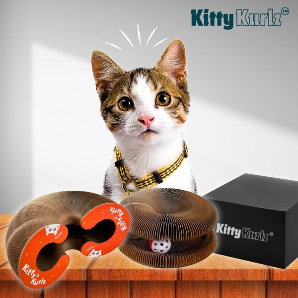 Kitty Kurlz™ – Marlene's Pet Shop
