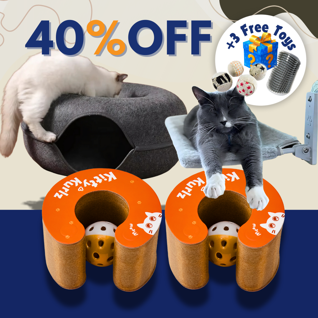 Kitty Kurlz Nap Palace Bundle – Marlene's Pet Shop