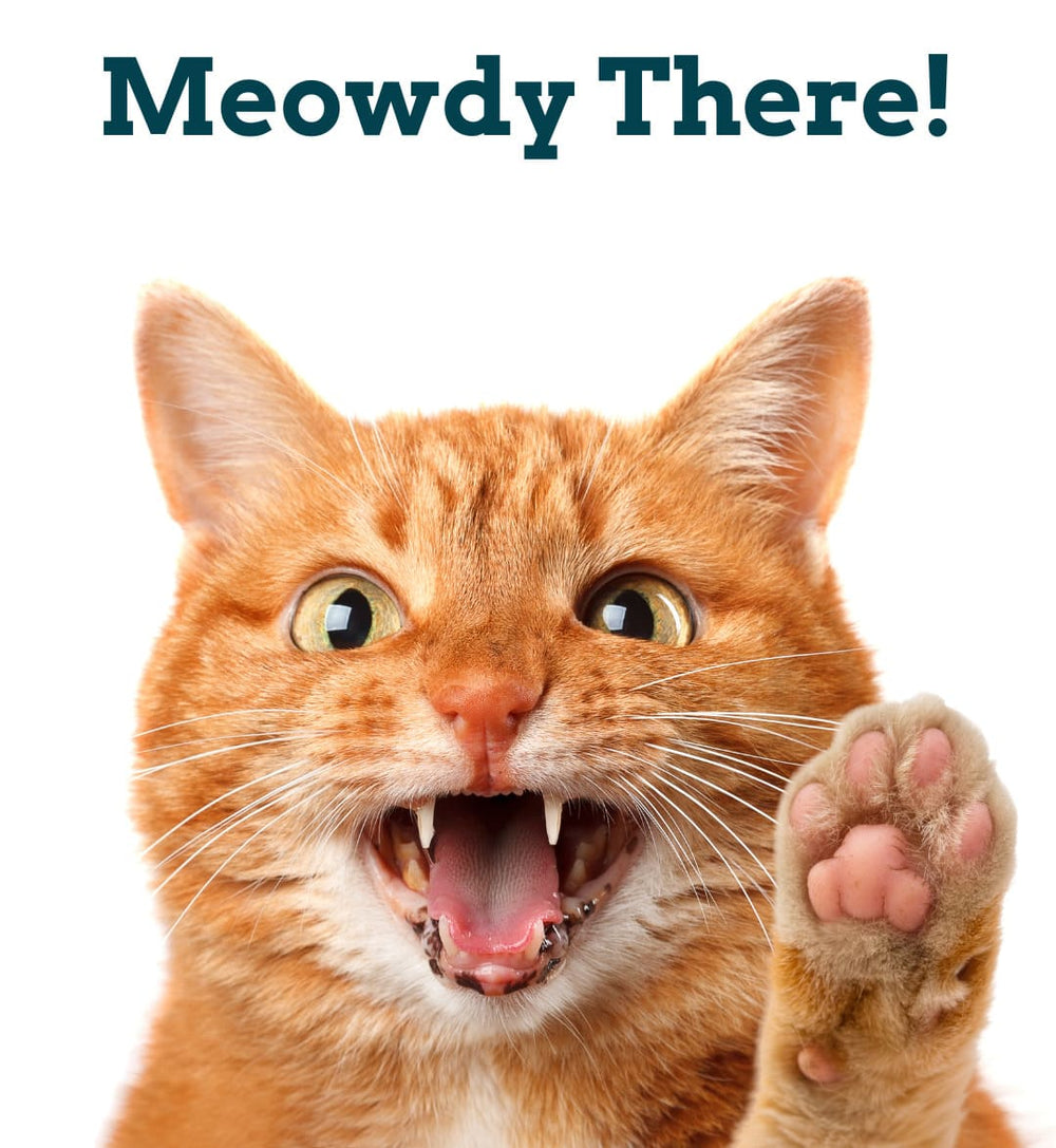 Marlene's Pet Shop: Premium Products for Your Little Friends